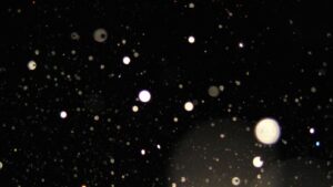 Orbs (Light Anomalies) – Psi Encyclopedia